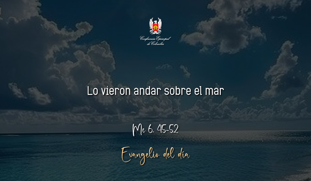 07 de Enero | Lectura del Santo Evangelio según San Marcos Mc 6, 34-44 ...