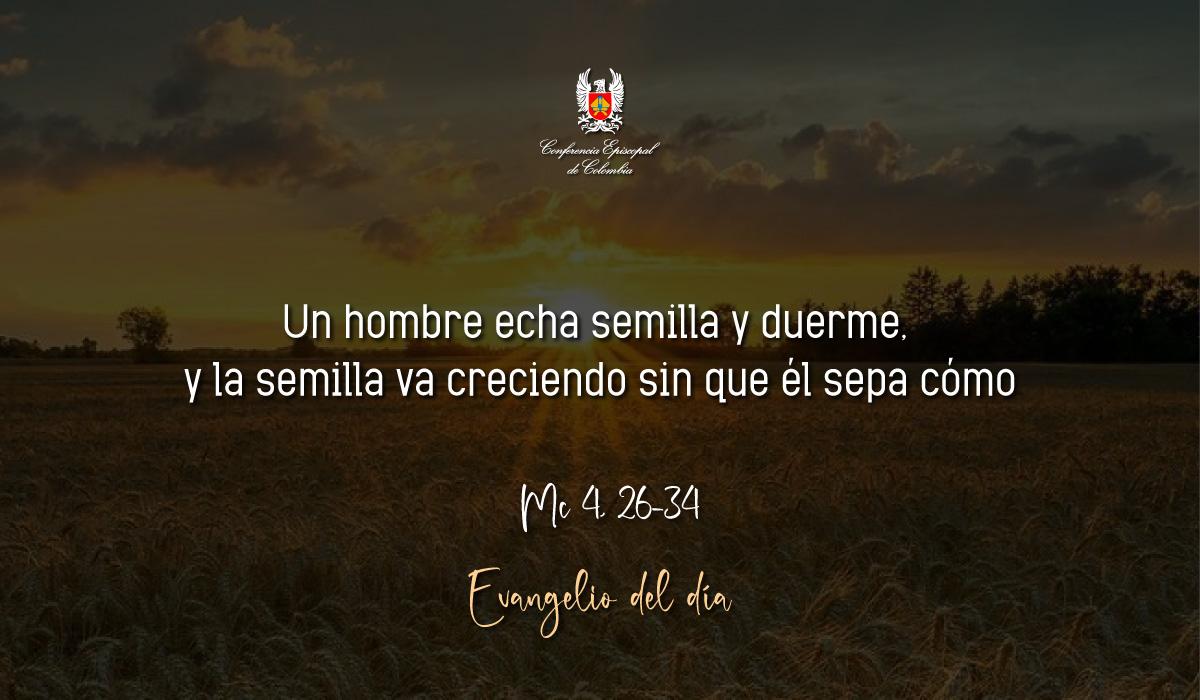 30 de Enero | Lectura del Santo Evangelio según San Marcos Mc 4, 26-34 ...